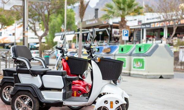 Disneyland Mobility Scooter Rental